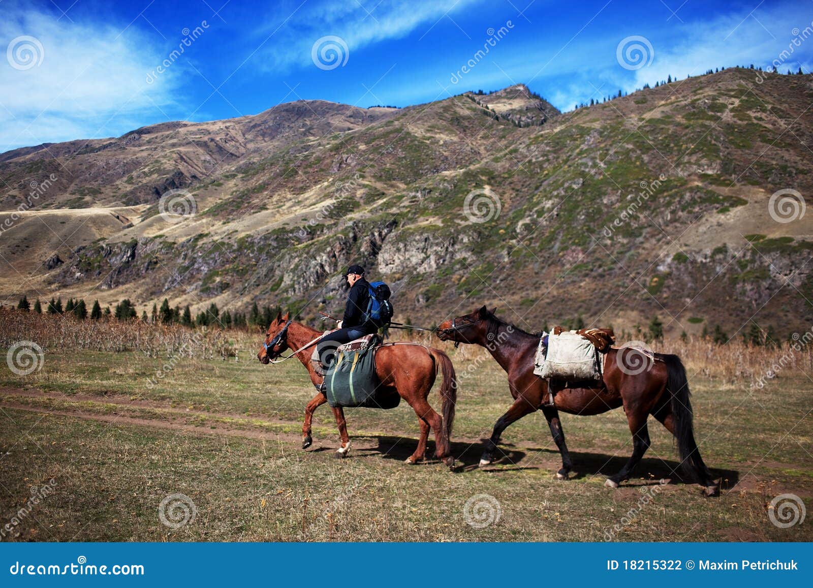 Horseback Riding stock photo. Image of scenics, adventure - 18215322
