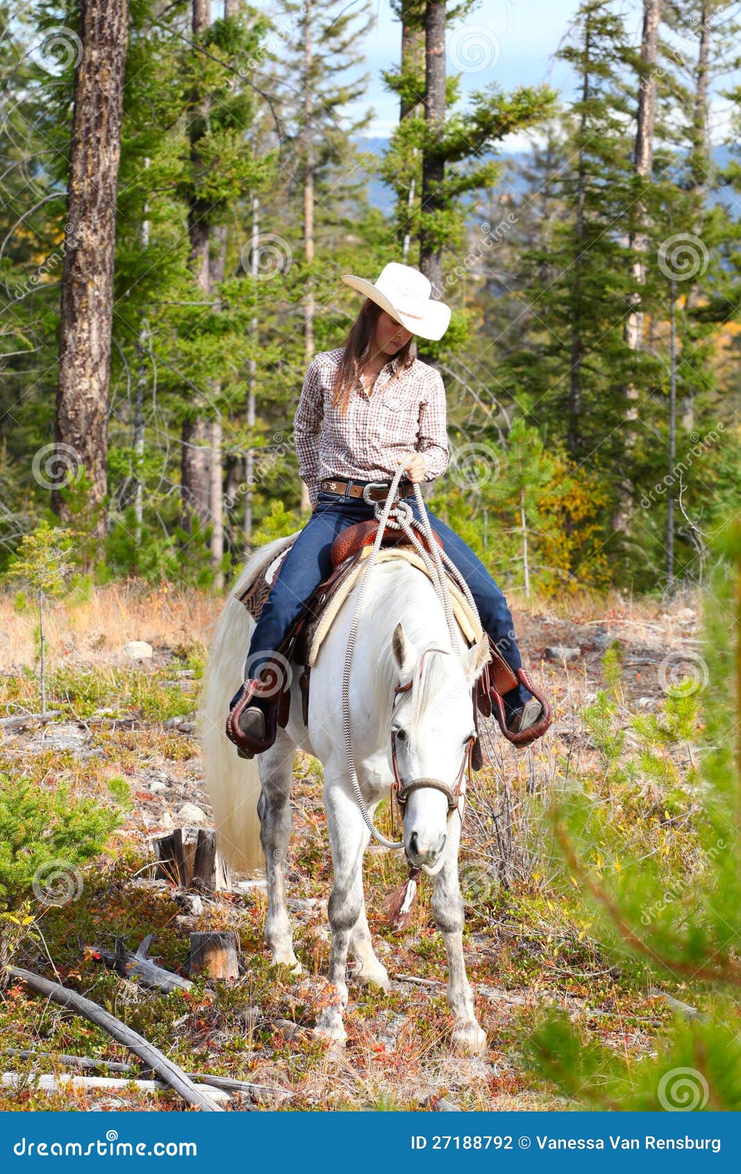 Horseback Riding stock photo. Image of livestock, action - 27188792