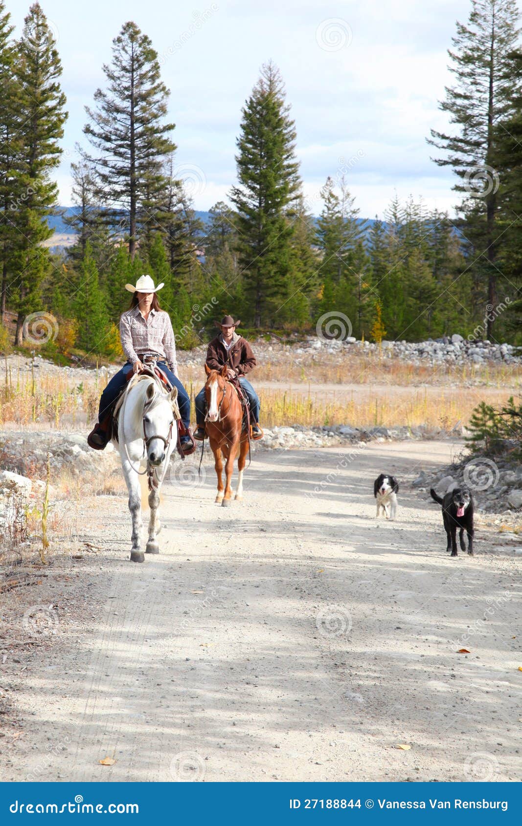 Horseback Riding stock photo. Image of family, beauty - 27188844
