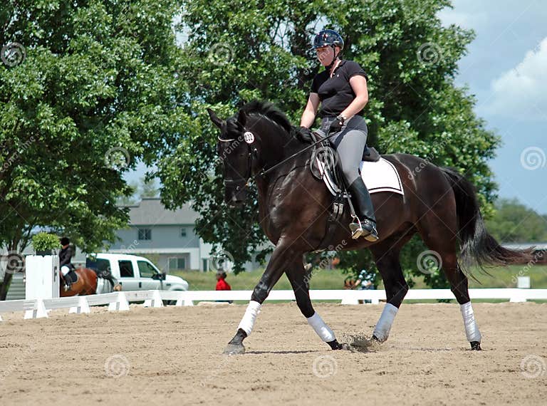 Horseback riding stock image. Image of field, rider, sand - 3018485