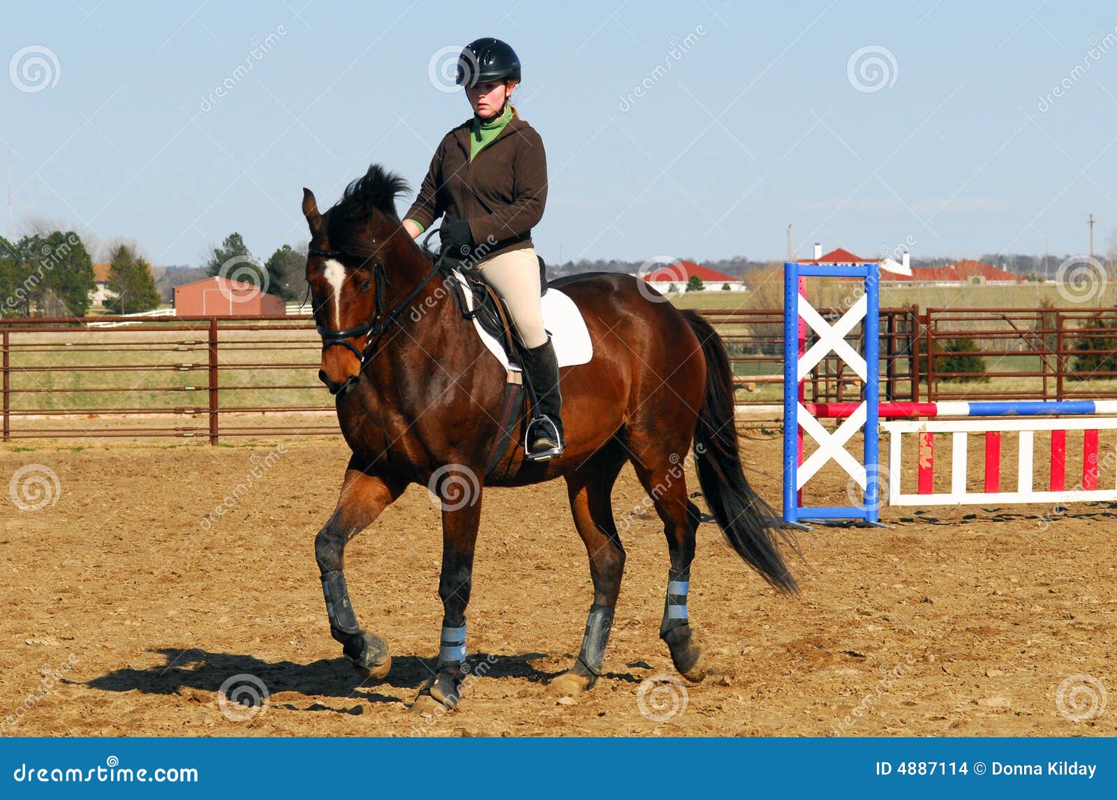 Horseback riding stock photo. Image of action, female - 4887114