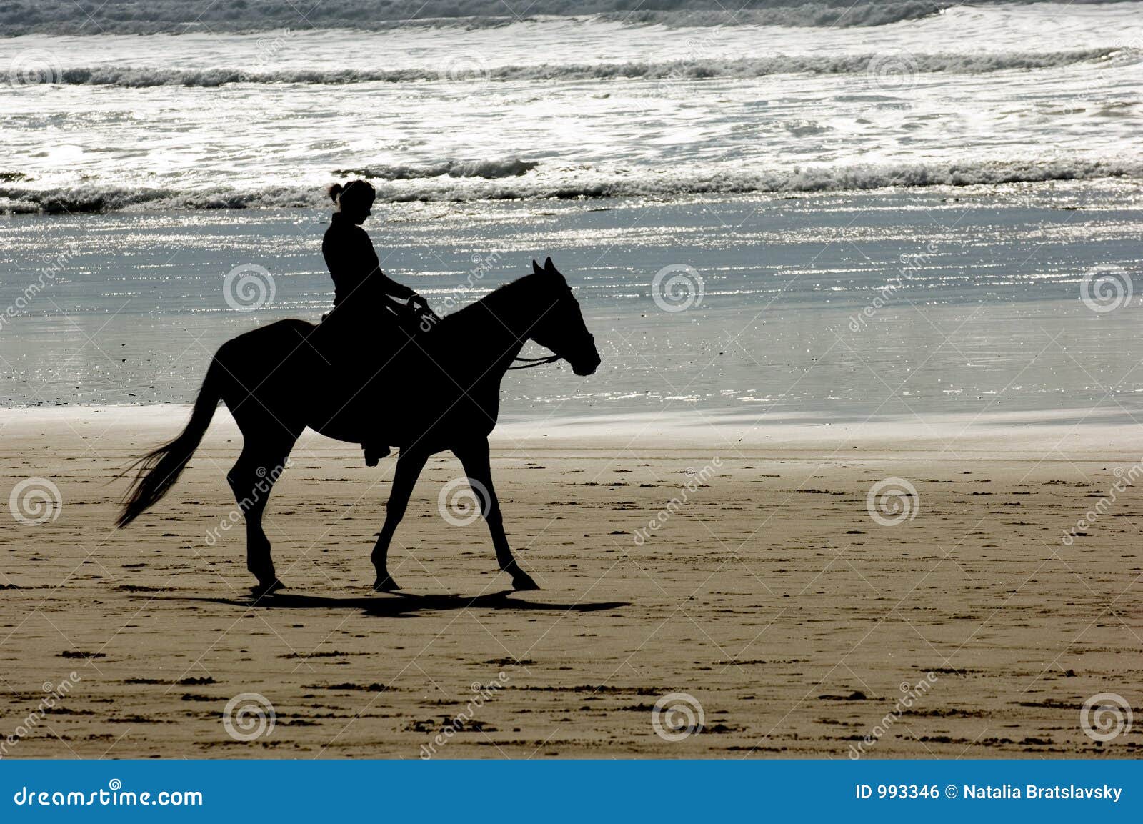 Horseback riding stock photo. Image of active, outdoor - 993346