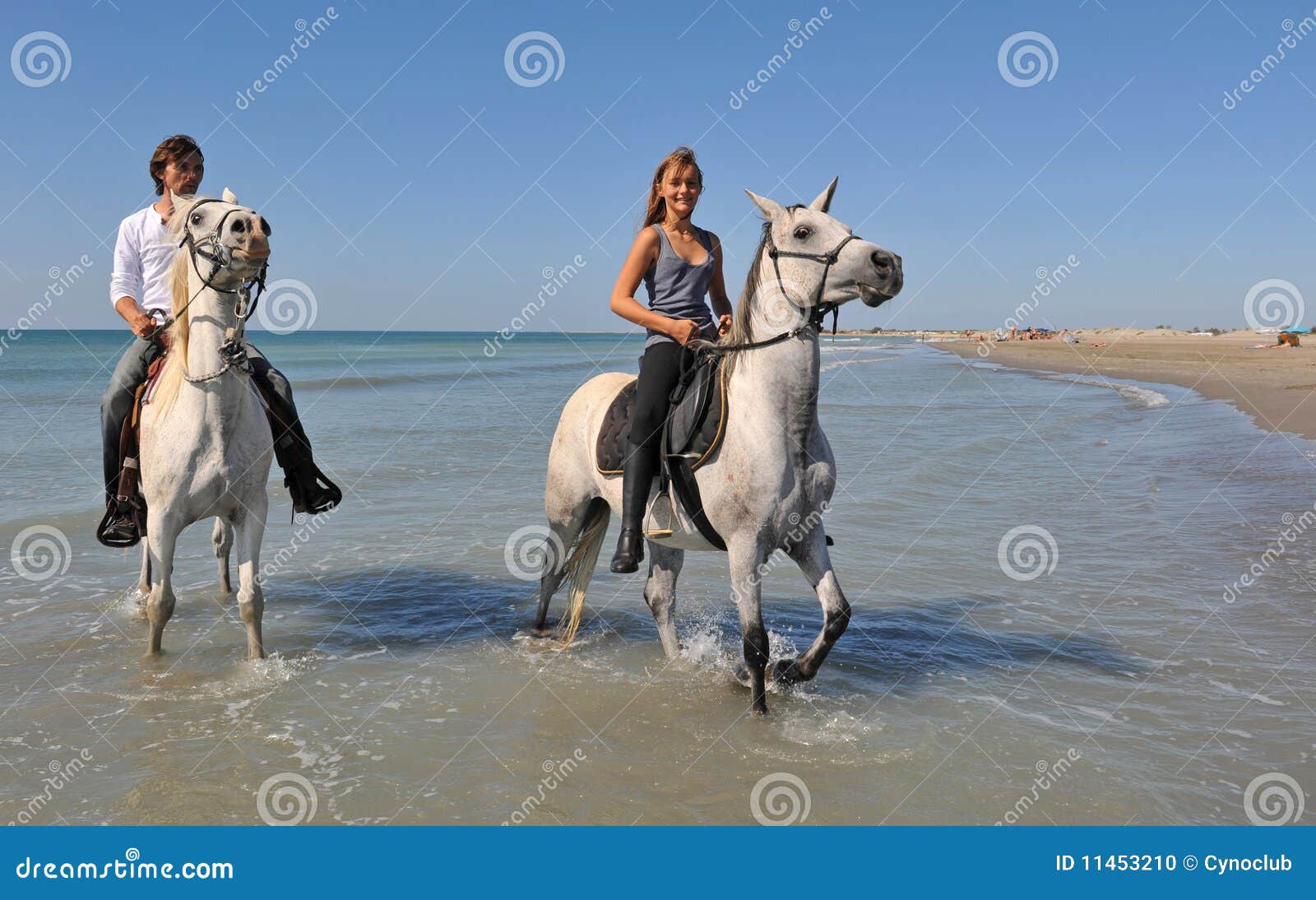 Horseback Riding on the Beach Stock Photo - Image of blond, camargue ...
