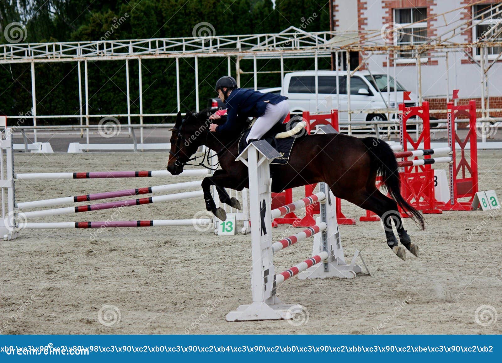 Horseback riding stock image. Image of animal, obstacle - 229538445