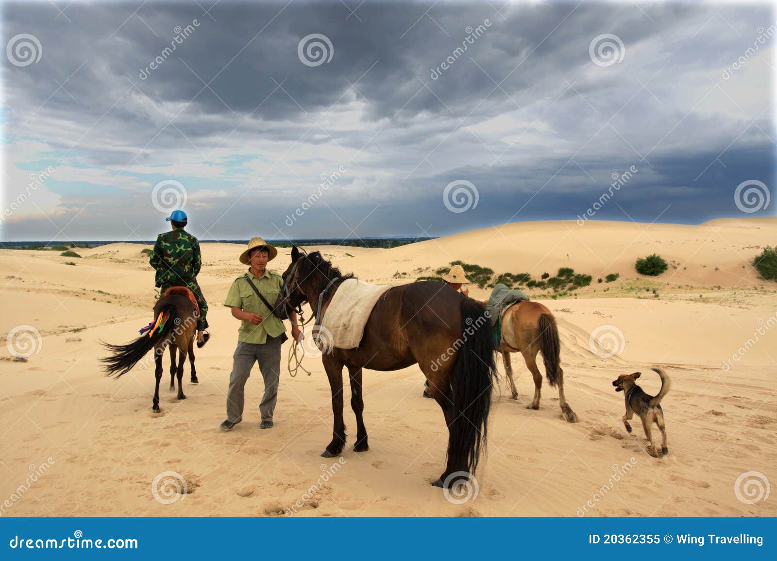 Horseback riding in desert editorial image. Image of horse - 20362355