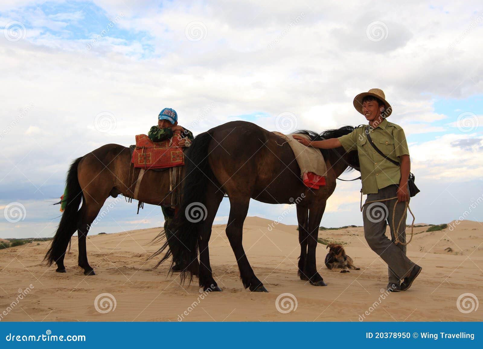 Horseback riding in desert editorial image. Image of desert - 20378950