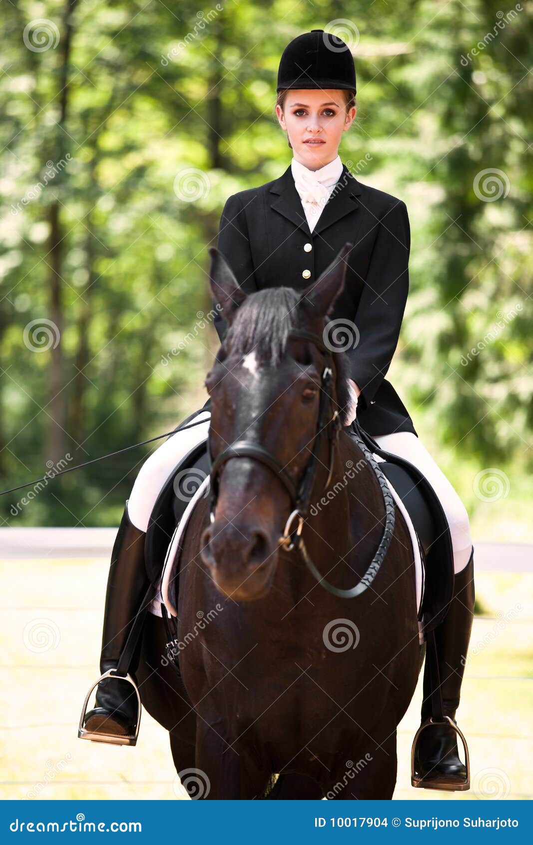 Horseback riding girl stock photo. Image of caucasian - 10017904