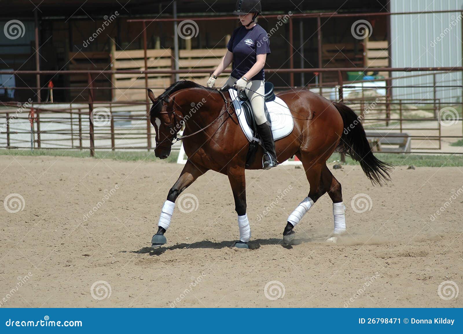 Horseback riding Lesson stock image. Image of horse, white - 26798471