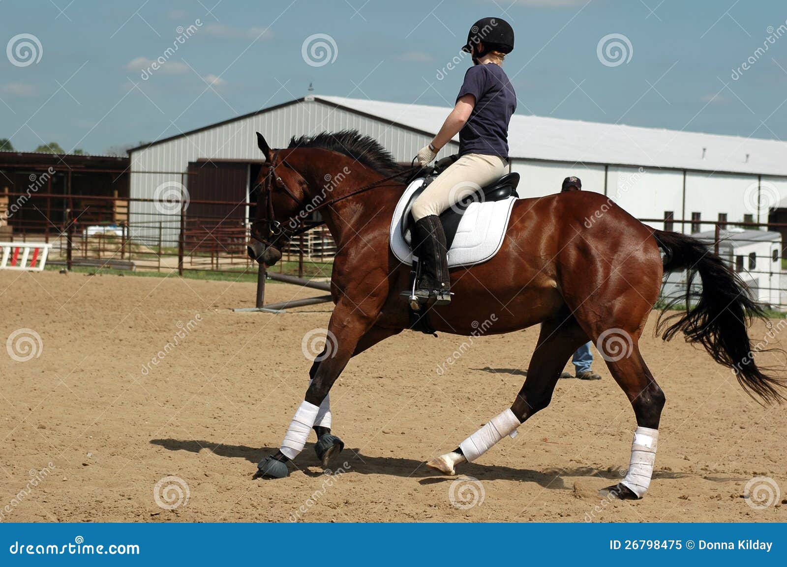 Horseback riding Lesson stock image. Image of sand, riding - 26798475