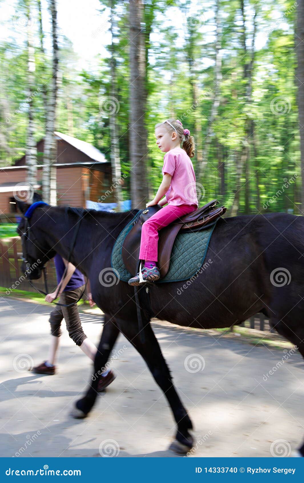 Horseback Riding Little Girl Stock Photo - Image of racing, mane: 14333740
