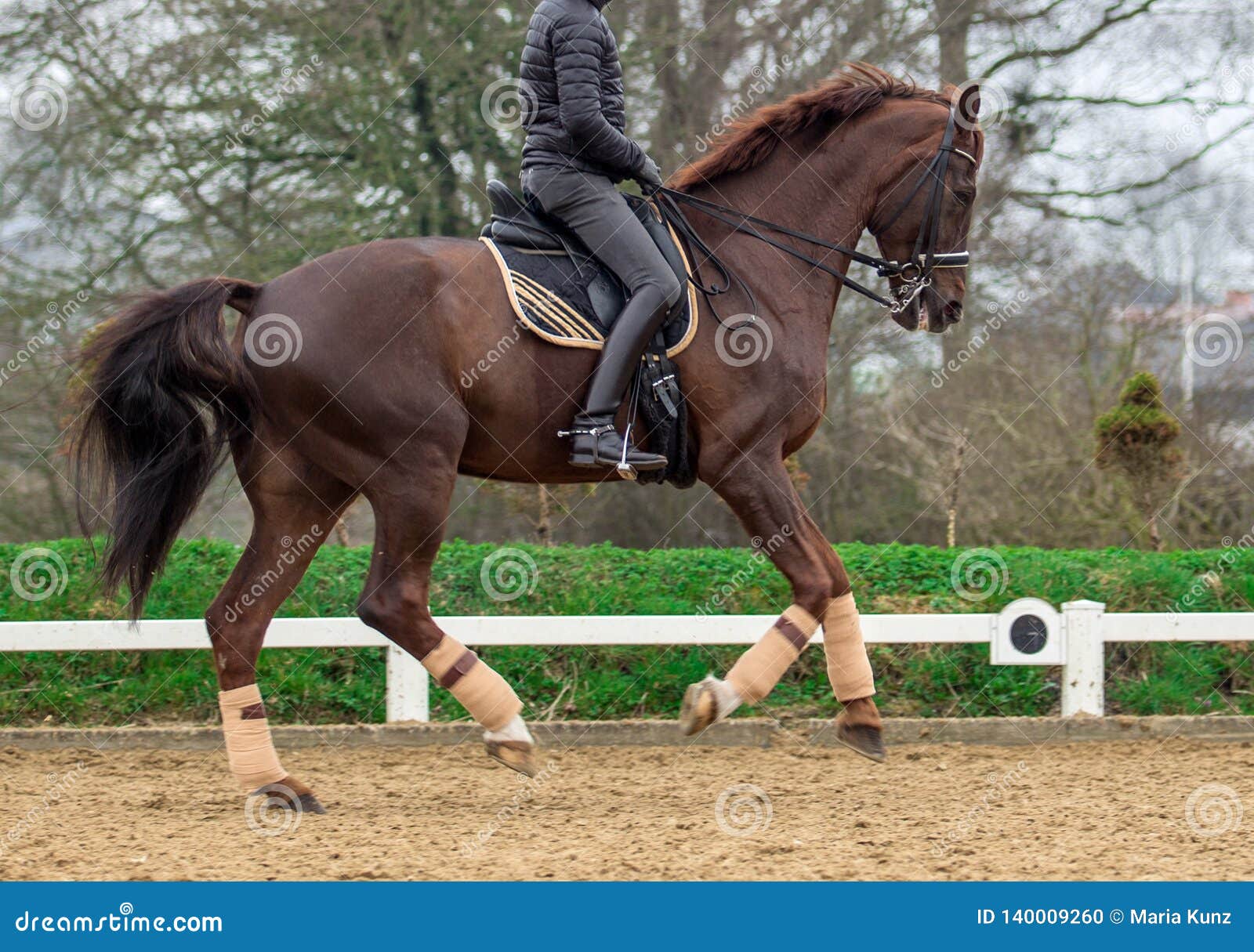 Horseback Riding, Lovely Equestrian Stock Photo - Image of animal ...