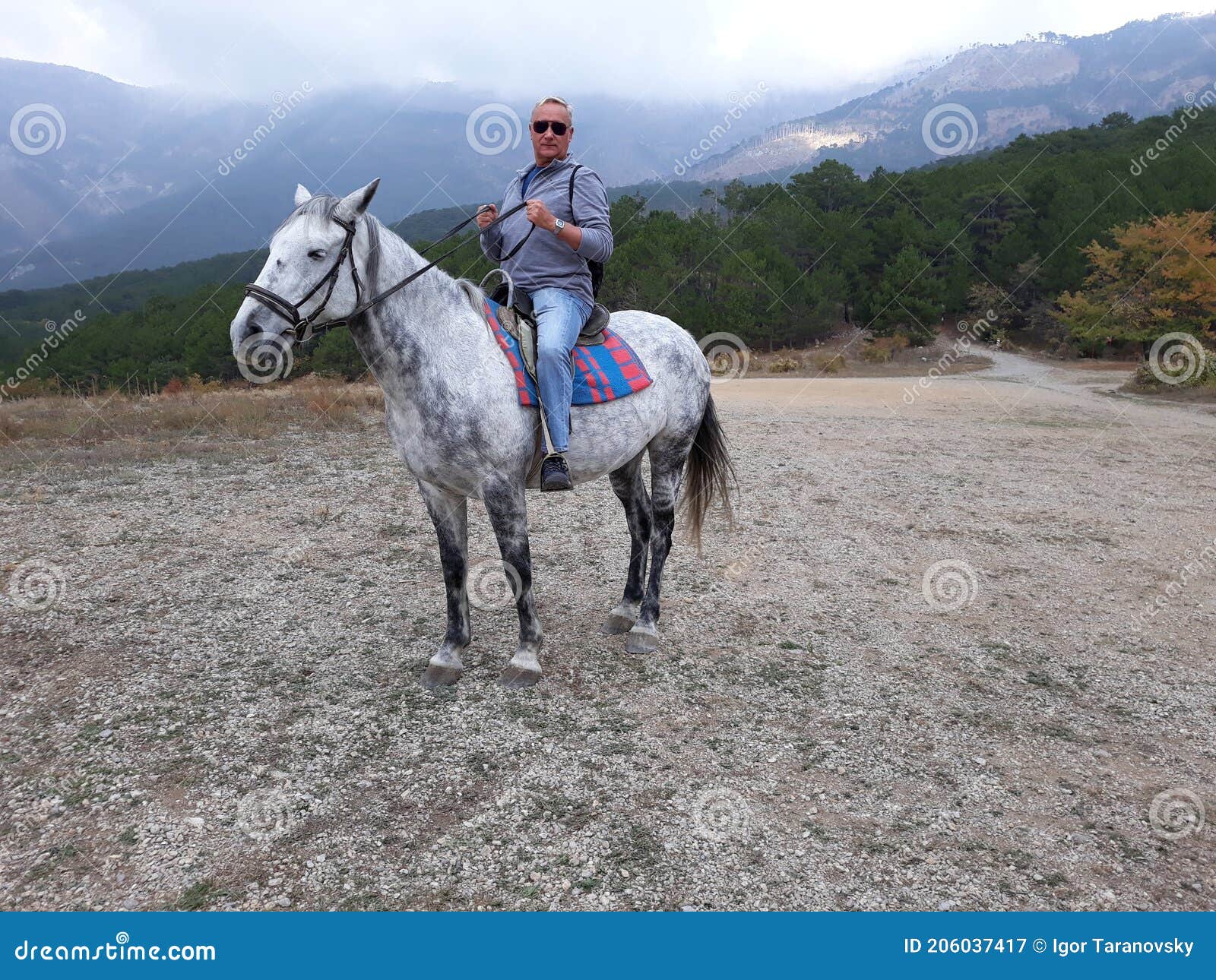 Horseback Riding in the Mountains Stock Image - Image of hills, hike ...