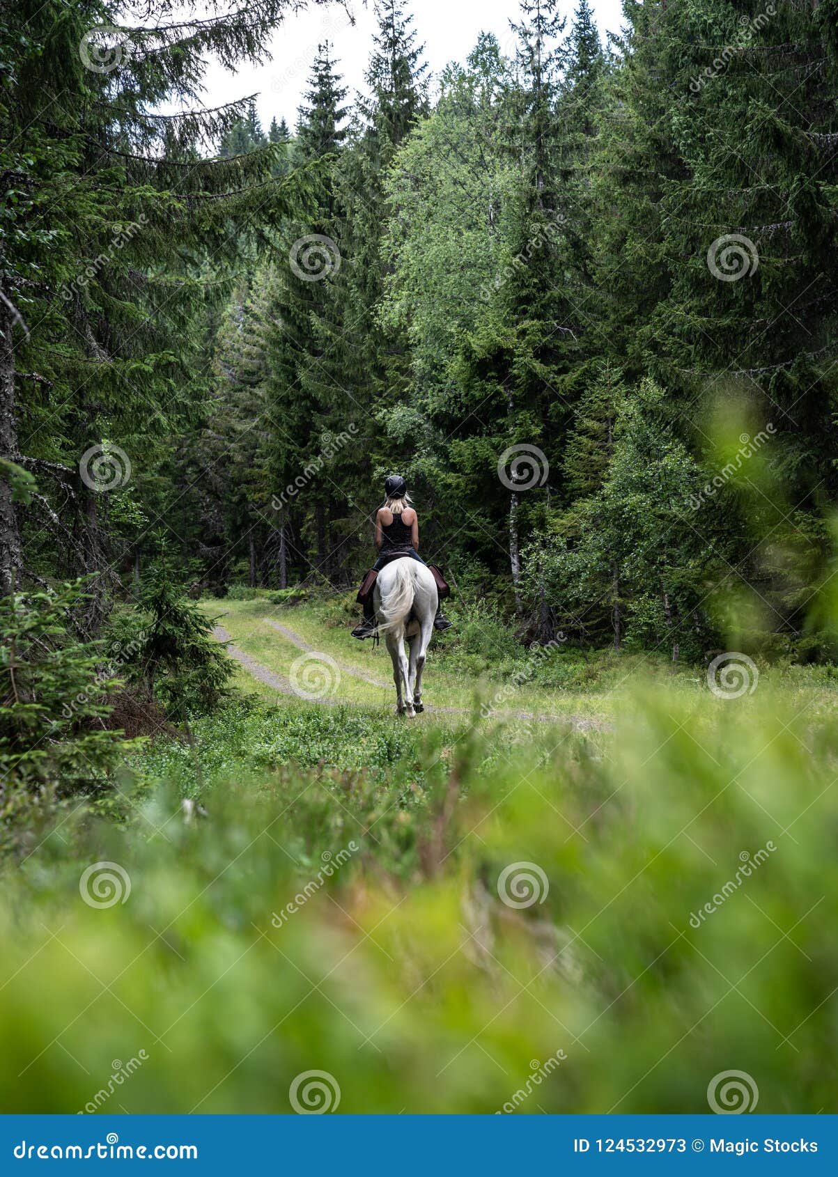 Horseback Riding in the Forest Stock Image - Image of norway, horseback ...