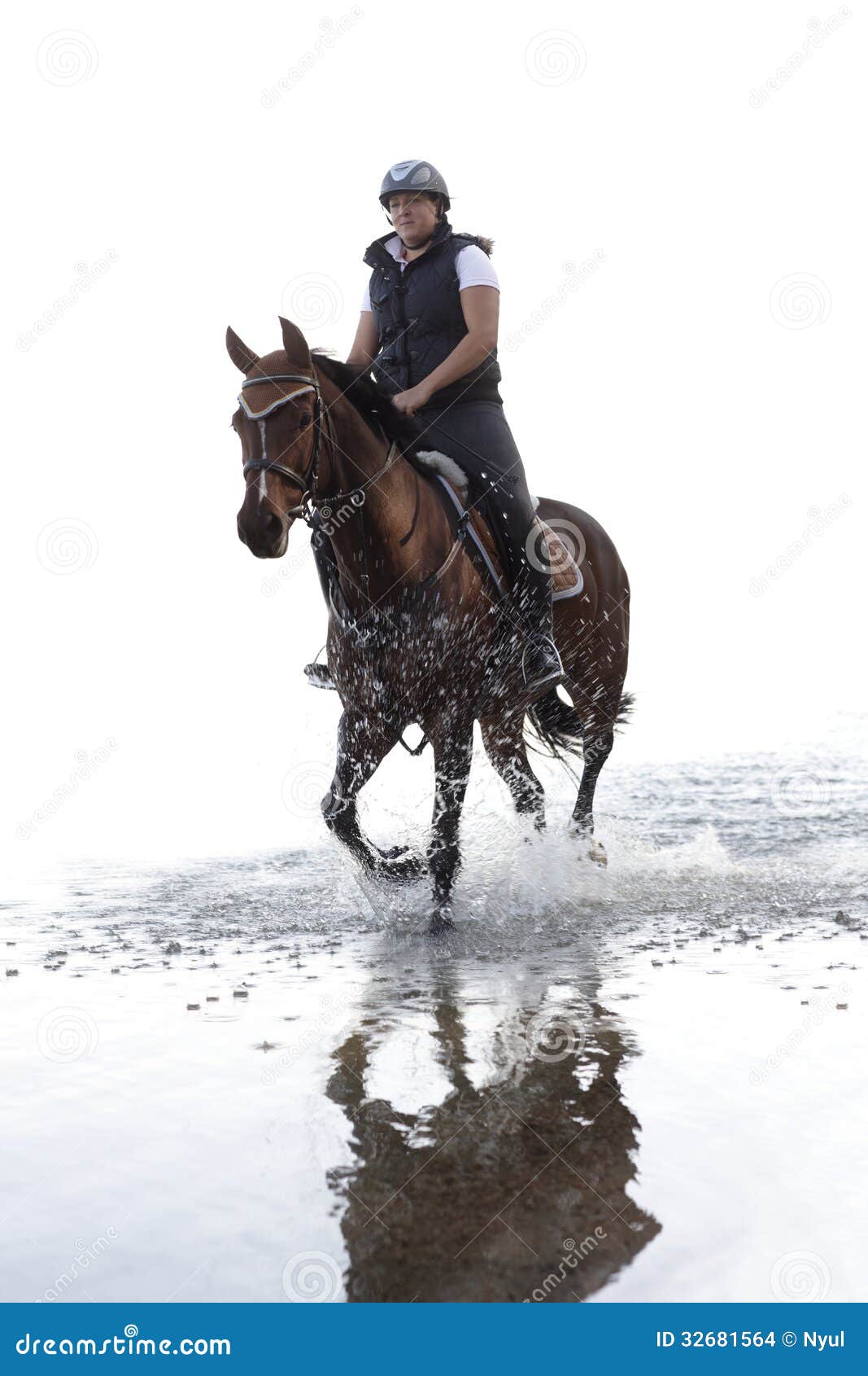 Horseback Riding in the River Stock Photo - Image of outdoor, alone ...