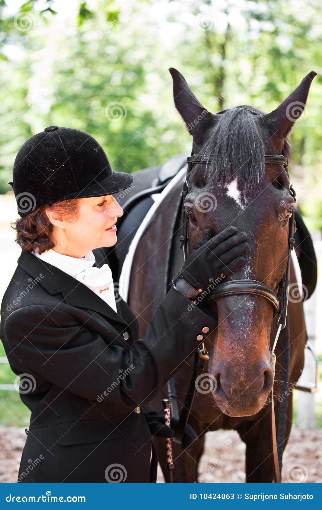 Horseback Riding Senior Woman Stock Image - Image of lifestyle, people ...
