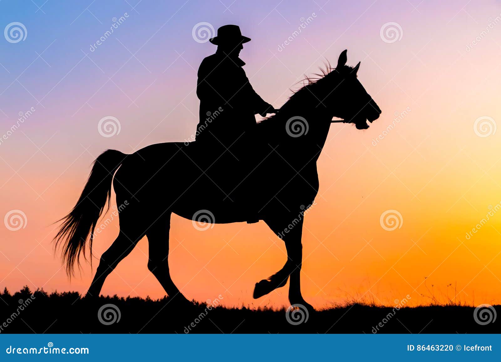 Horseback Riding in the Sunset Stock Photo - Image of field, orange ...