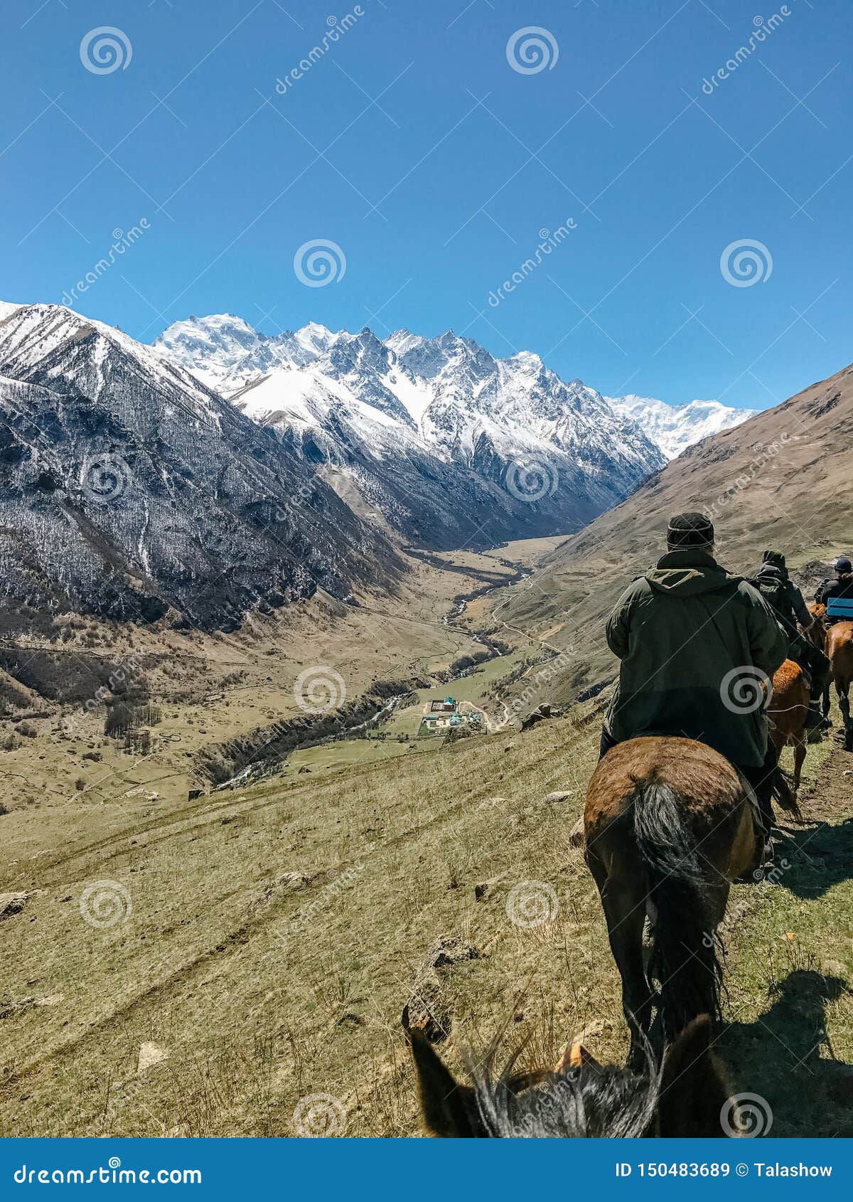 Horseback View from the First Person Opens a Review of the Riders in ...