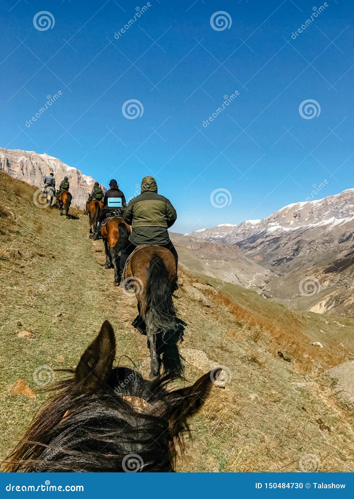 Horseback View from the First Person Opens a Review of the Riders in ...
