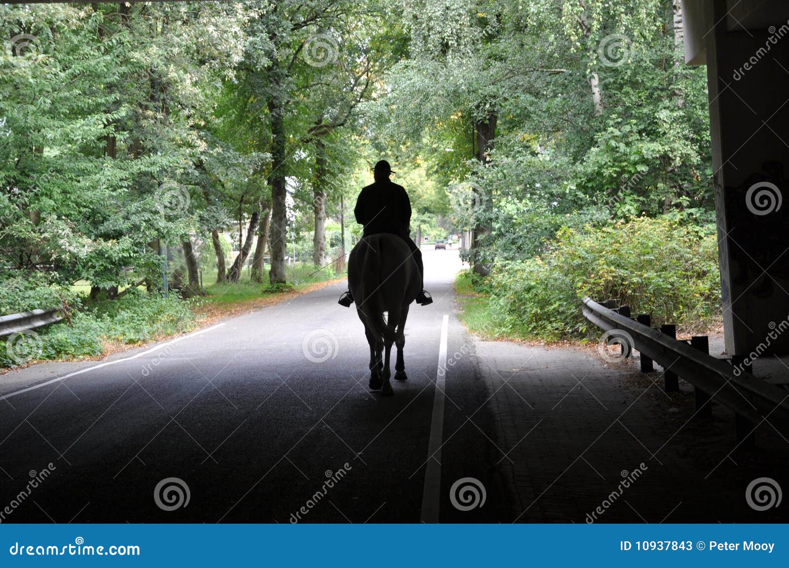 Horsebackriding in the City Stock Image - Image of nature, outdoors ...