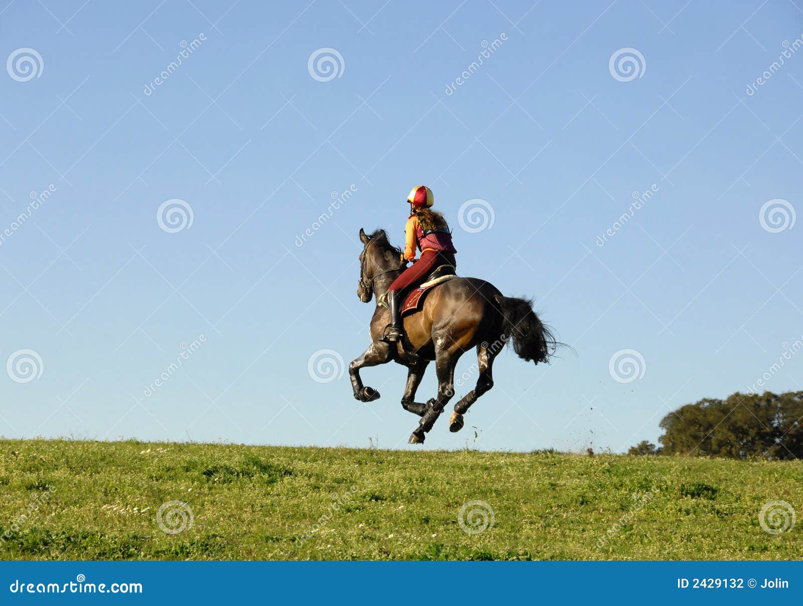 Horseman galloping stock photo. Image of horseback, equestrian - 2429132