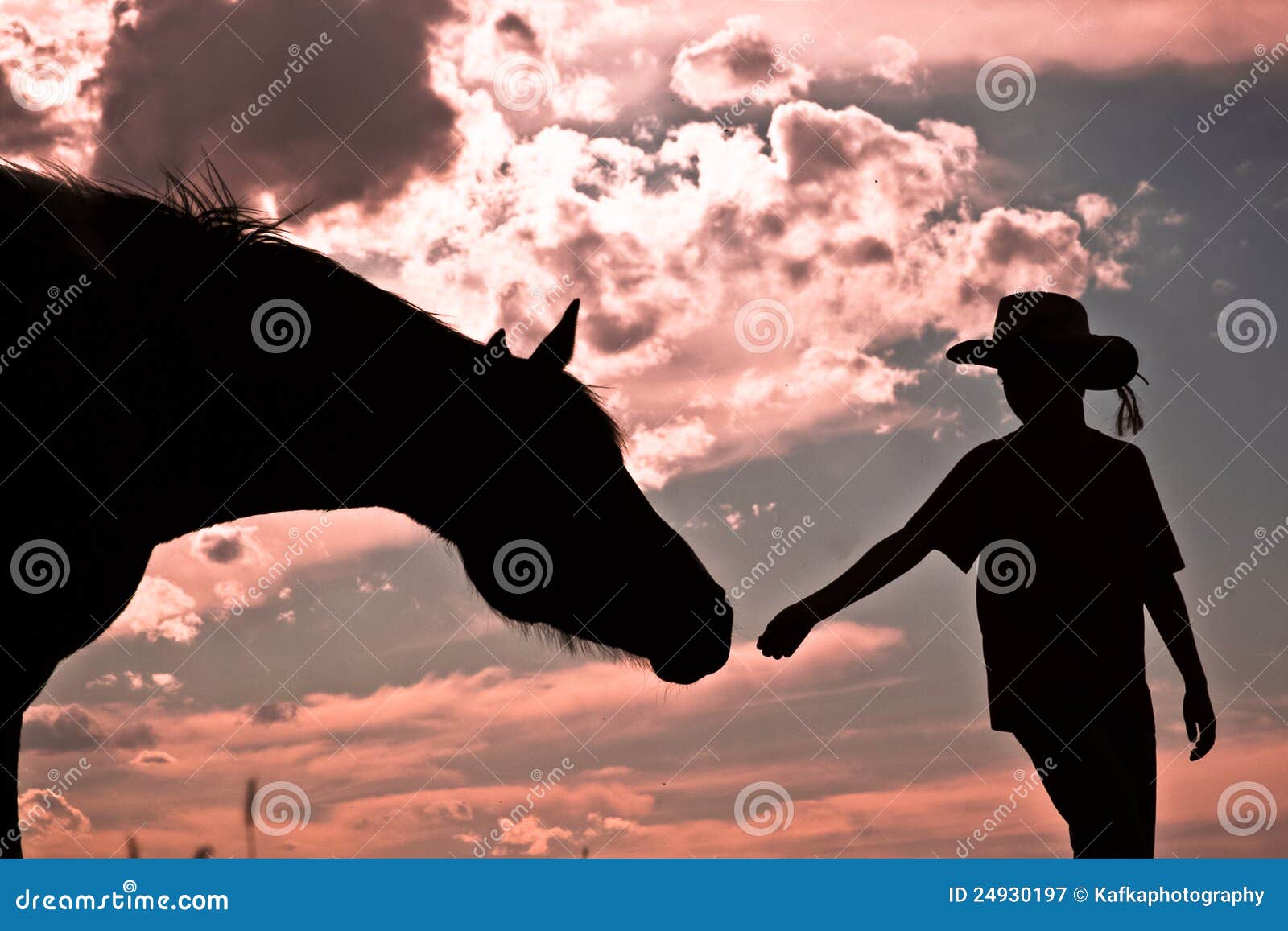 Horseman s Handshake stock image. Image of sunset, scene - 24930197