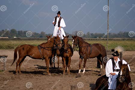 Horsemen, Bugac, Hungary editorial image. Image of cultural - 16511975