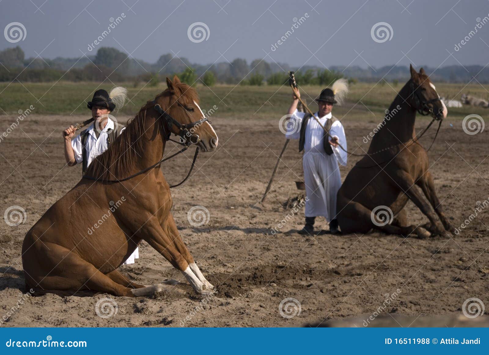 Horsemen, Bugac, Hungary editorial stock photo. Image of browser - 16511988
