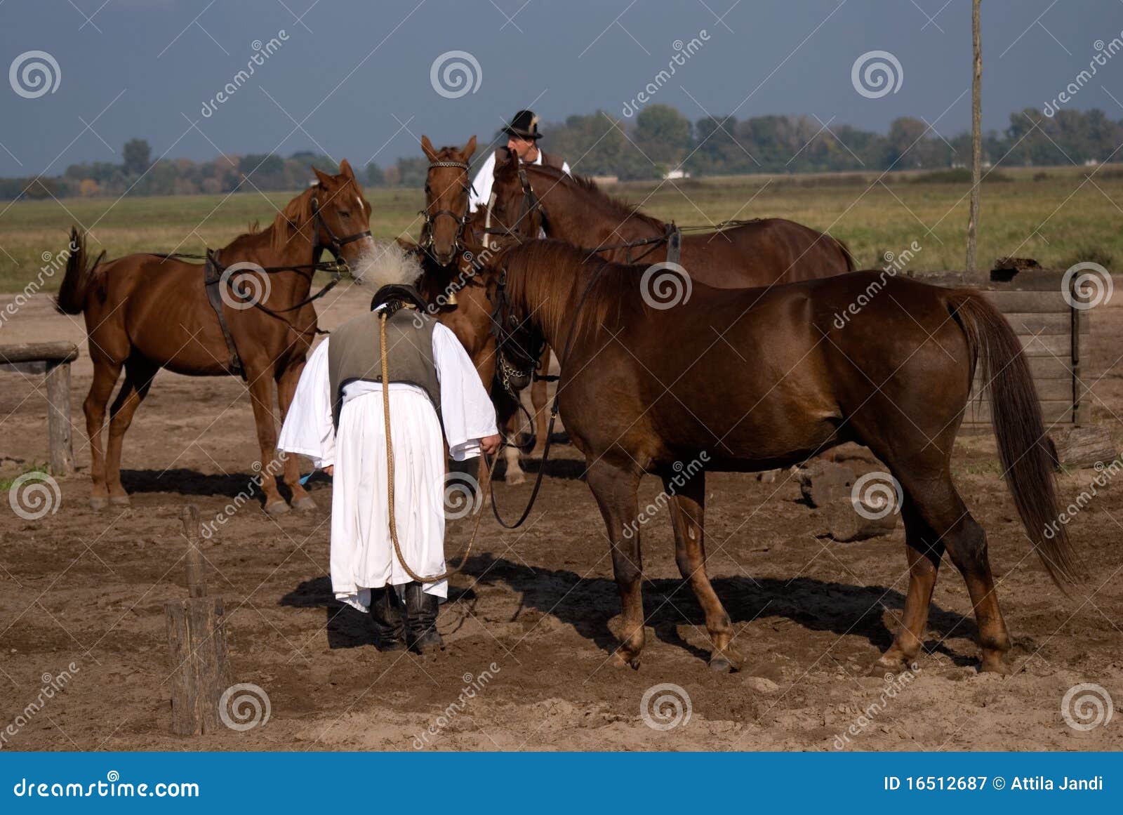Horsemen, Bugac, Hungary editorial photography. Image of cultural ...