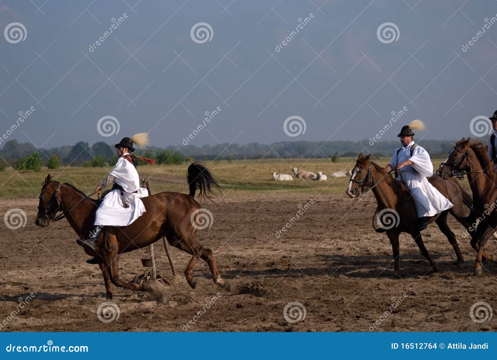 Horsemen, Bugac, Hungary editorial stock image. Image of cultural ...