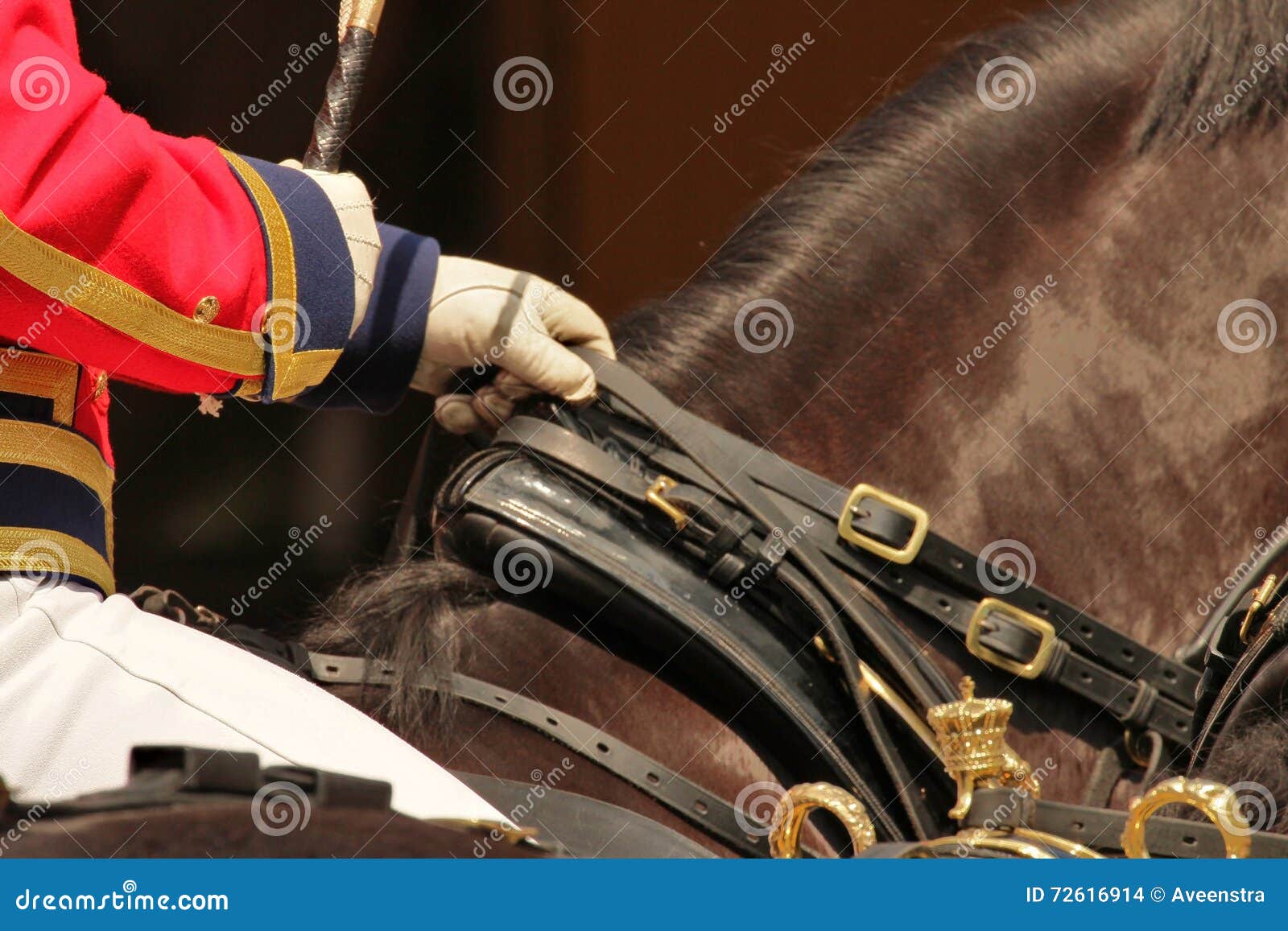 Traditional Army Horsemen of the Royal Dutch Cavalry Stock Photo ...