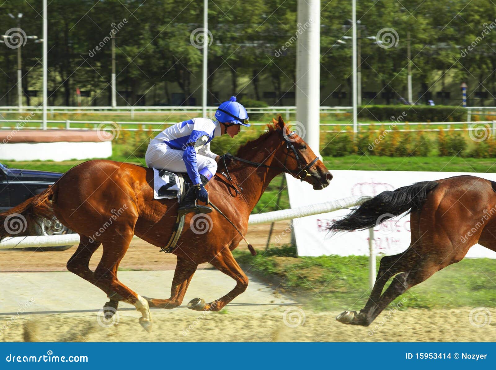 The Horserace for the Prize Editorial Stock Image - Image of ...