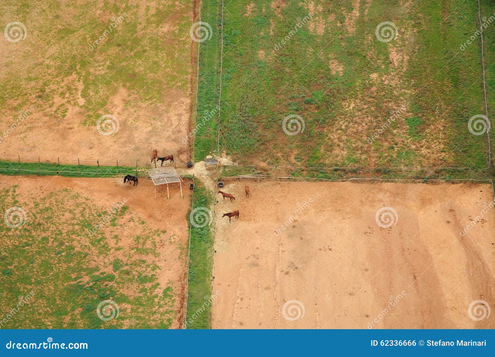Horses stock photo. Image of italy, horses, view, paddock - 62336666