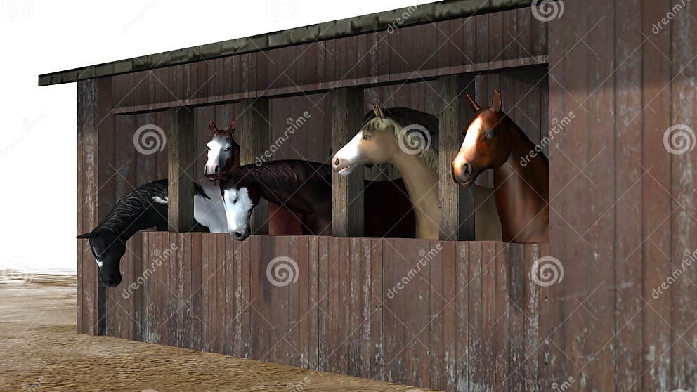 Horses in Barn - on White Background Stock Photo - Image of stable ...