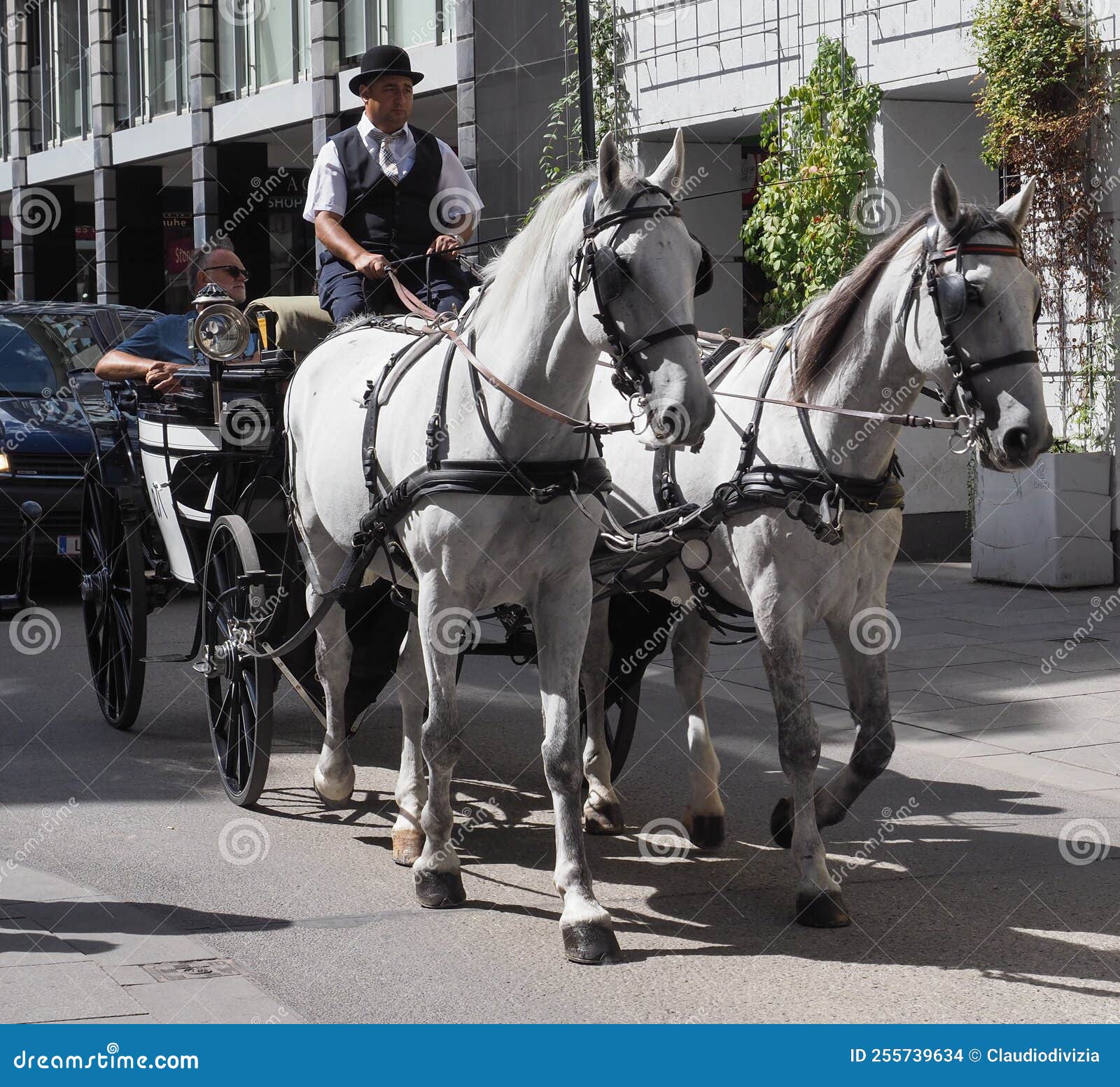 Horses and Carriages in Vienna Editorial Stock Image - Image of ...