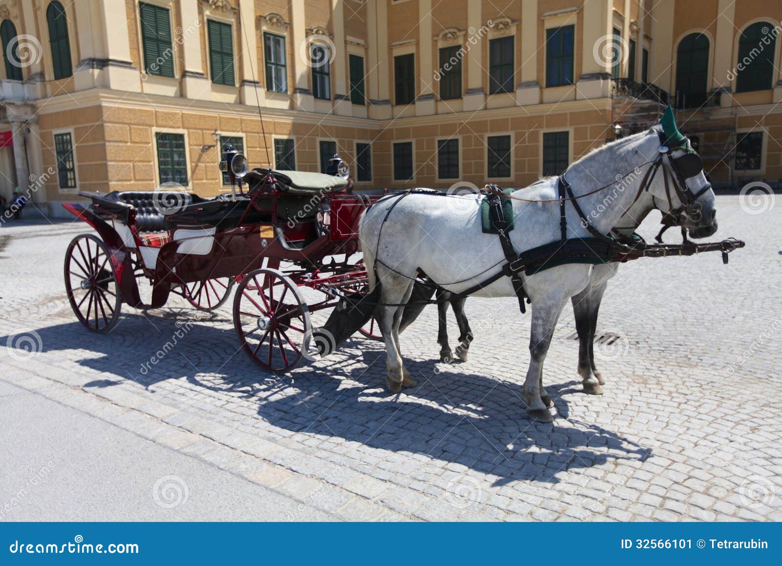 Horses with Cart in Vienna, Austria Editorial Photo - Image of country ...