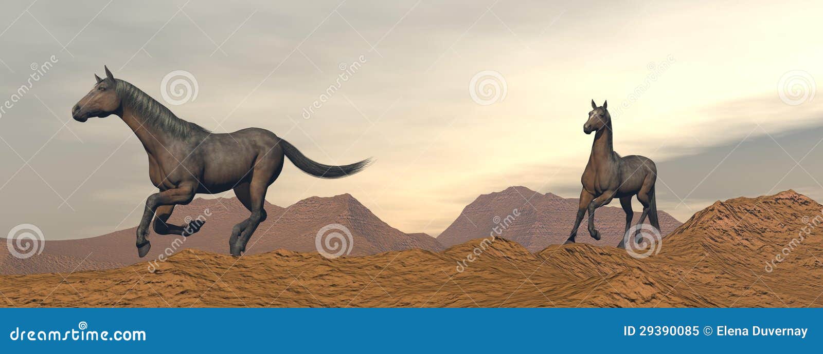 Horses Galloping Illustration | CartoonDealer.com #12103502