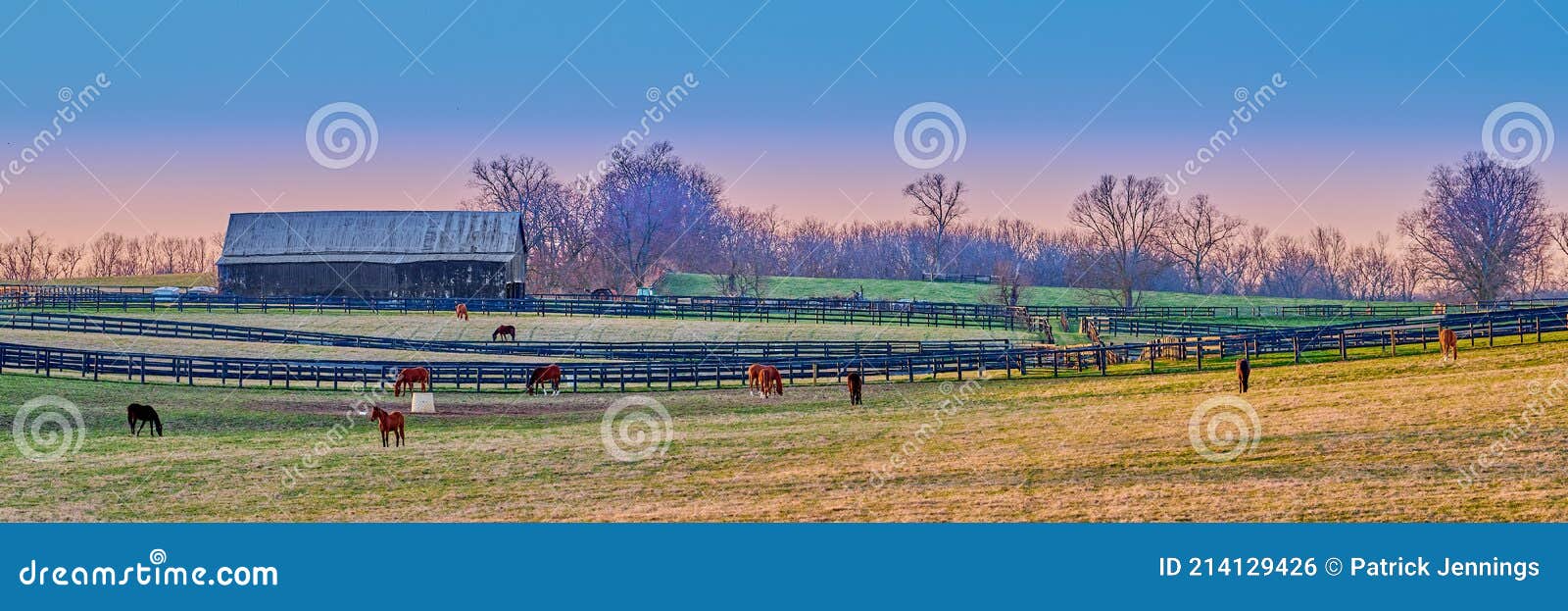 Horses Grazing on a Farm at Dusk Stock Photo - Image of dusk ...