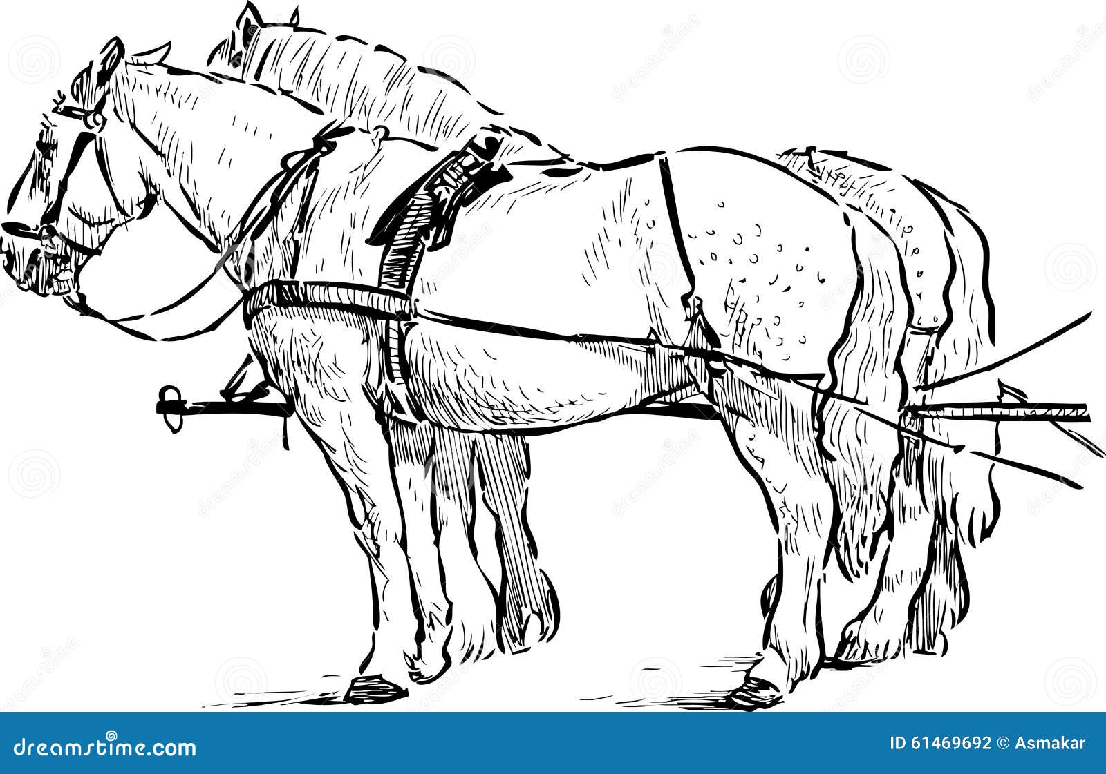 Horses in the harness stock vector. Illustration of drawing - 61469692