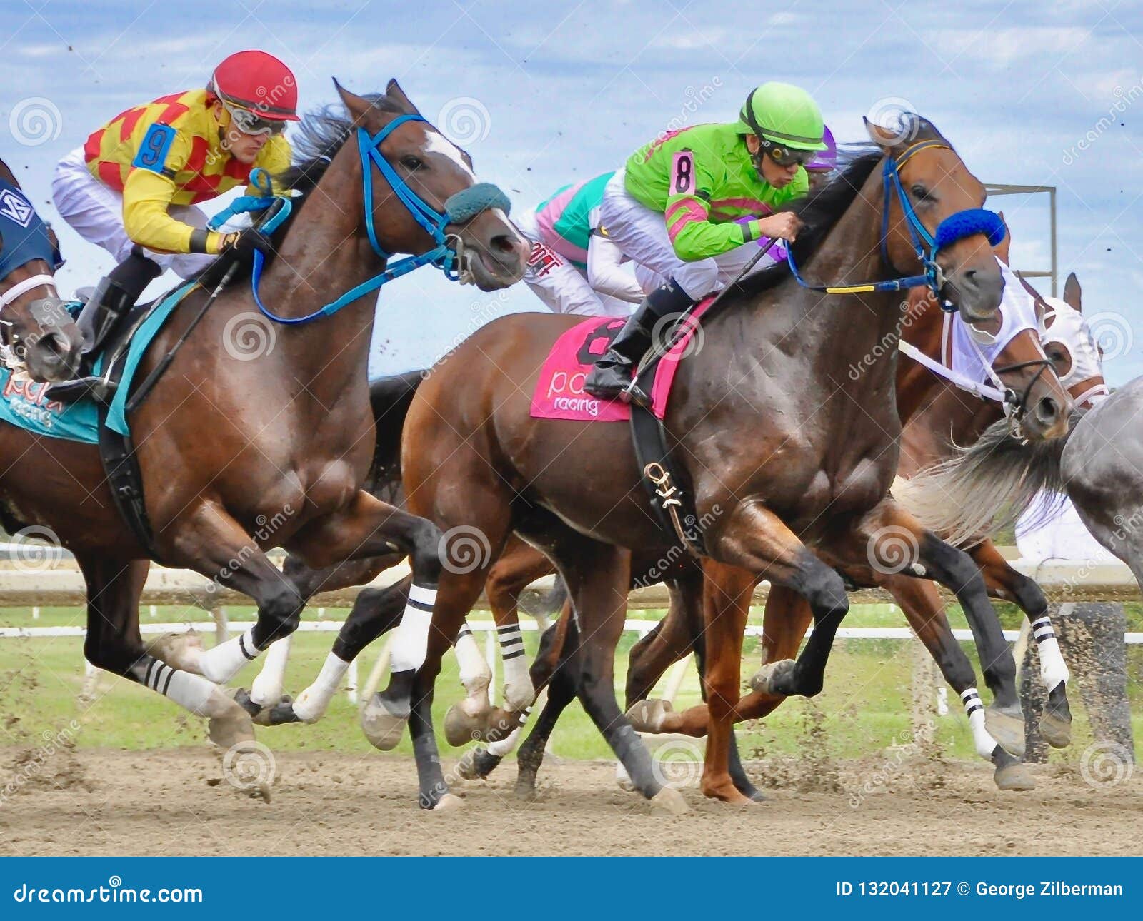 Breaking from the Gate editorial photography. Image of horses - 132041127