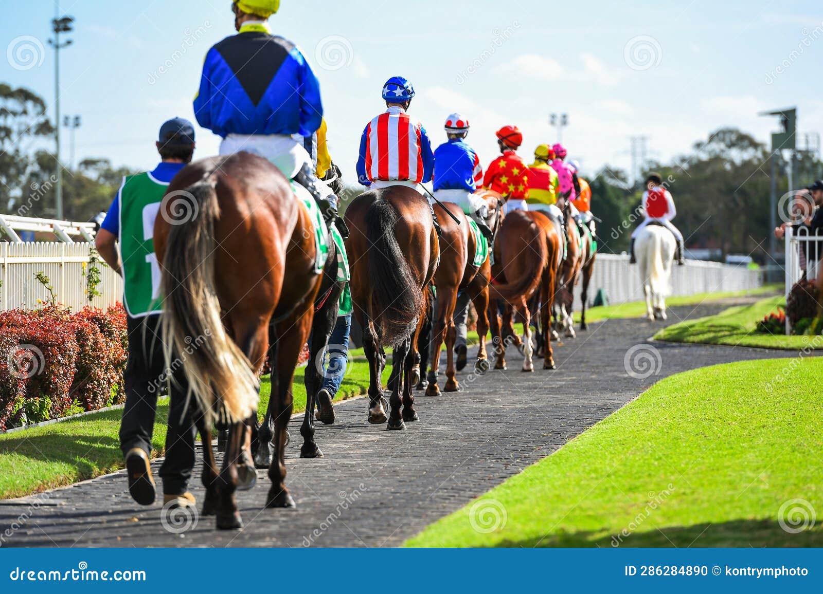 Horses and Jockeys Parading in the Paddock Stock Photo - Image of crowd ...