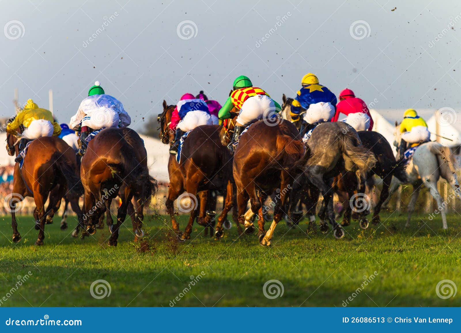 Horses With Jockeys On The Racing Track Preparing For The Race At Del ...