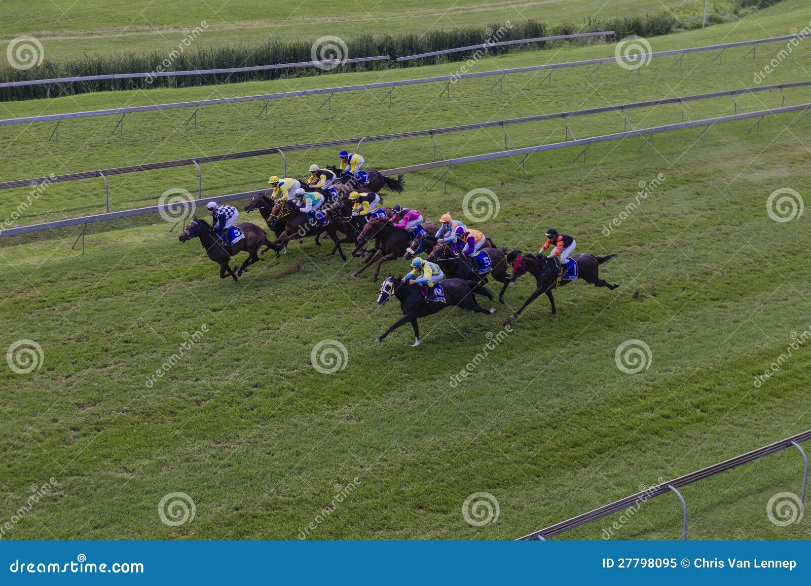 Horses Jockeys Sprint Race editorial image. Image of grass - 27798095
