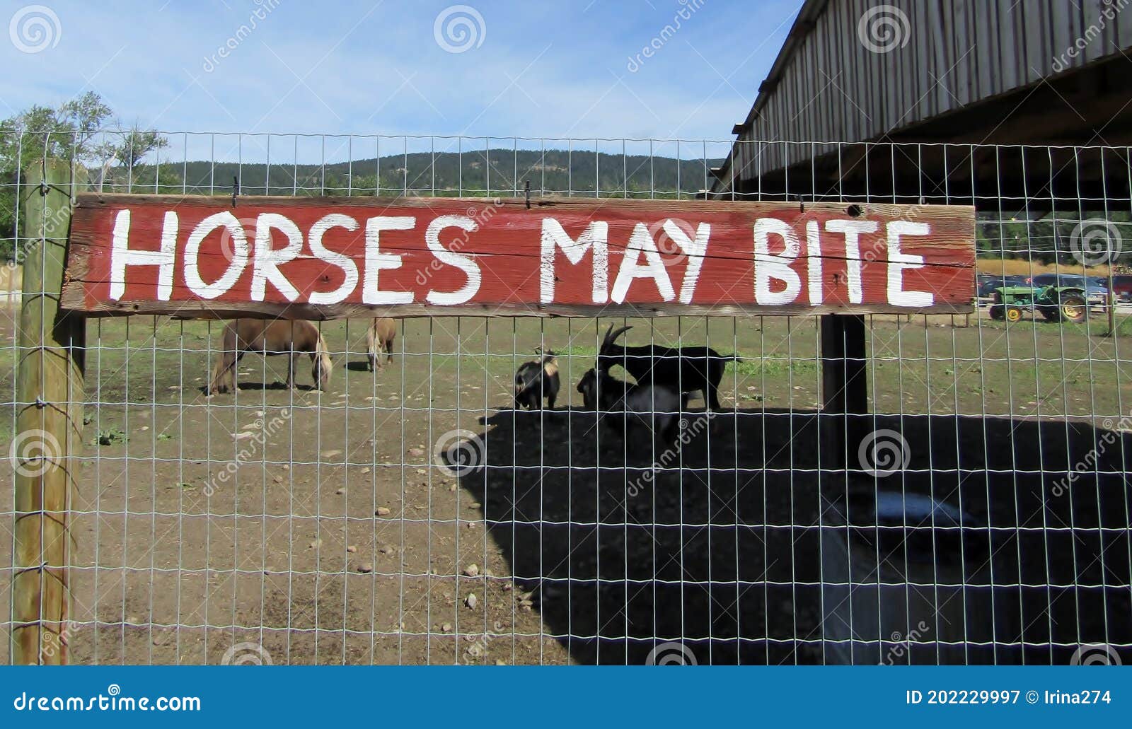 Horses May Bite Sign on the Fence. Stock Image - Image of mammal ...