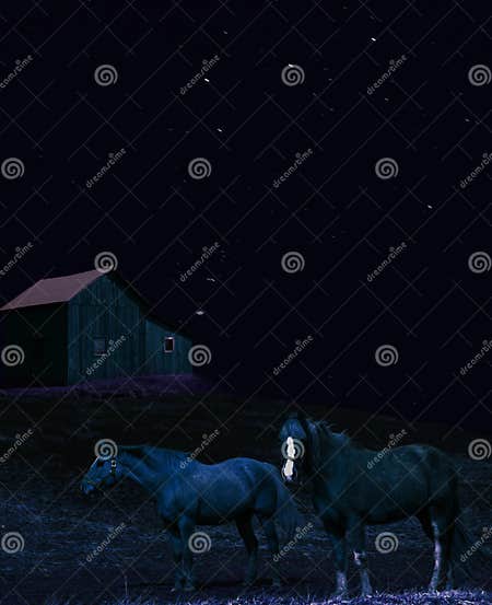 Horses at night stock image. Image of mammals, constellation - 23870835