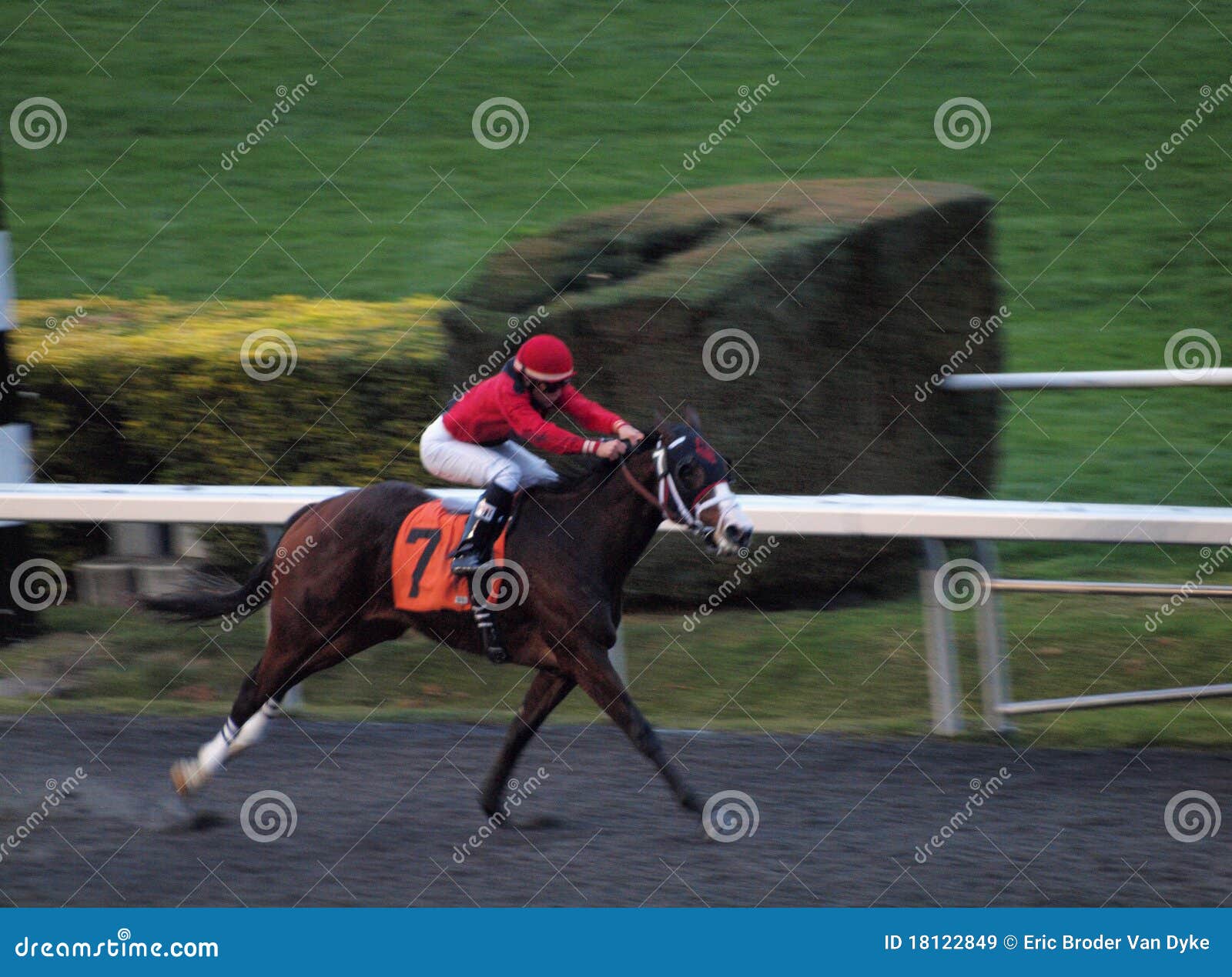 Horses Number 7 Races Past the Finishline Editorial Stock Image - Image ...