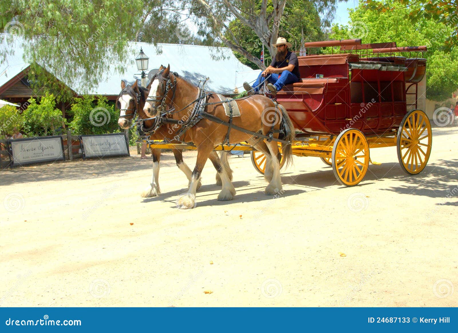 Horses and old coach wagon editorial stock photo. Image of fashioned ...