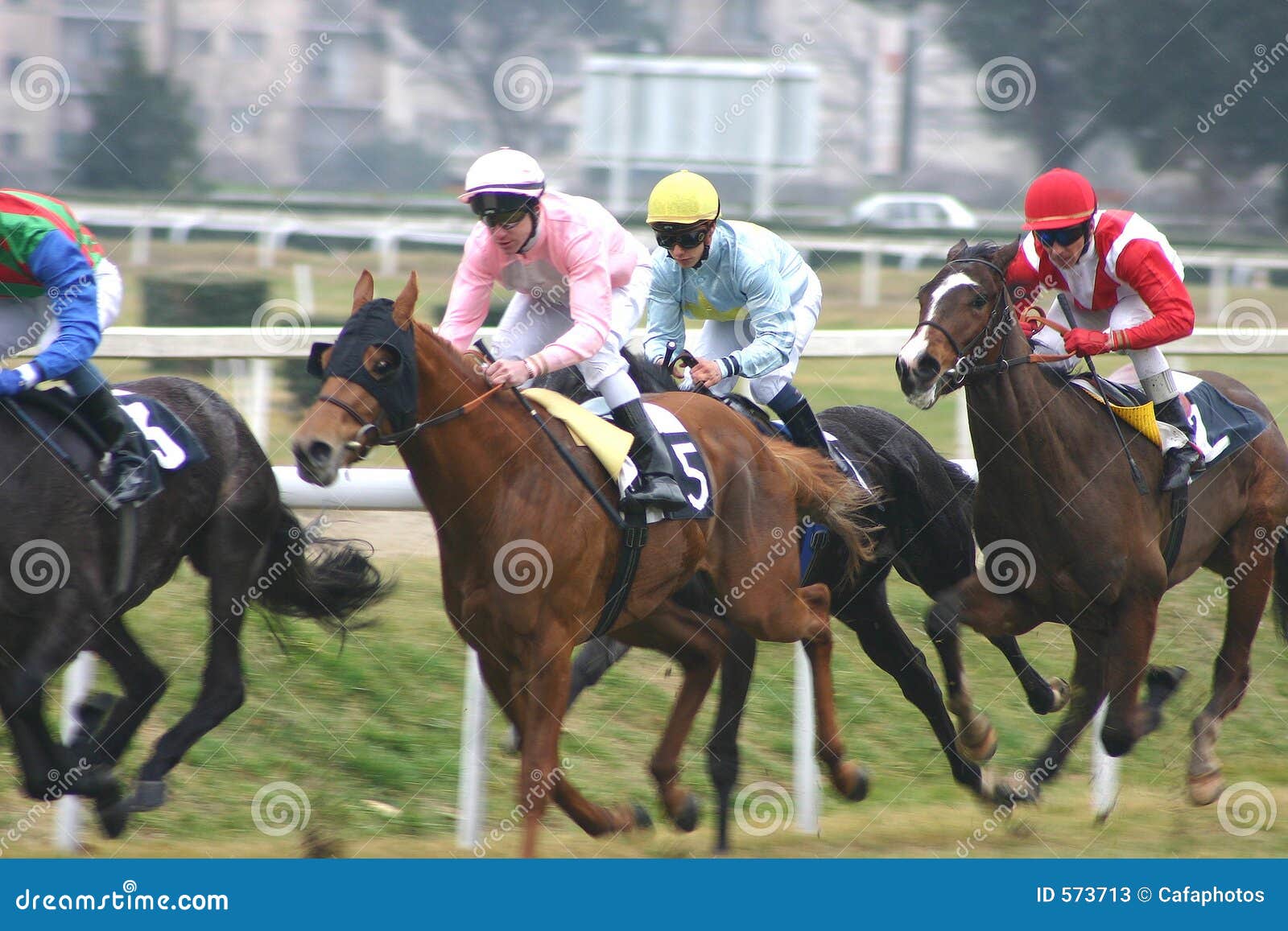 Horses racing stock image. Image of speed, mammal, driver - 573713