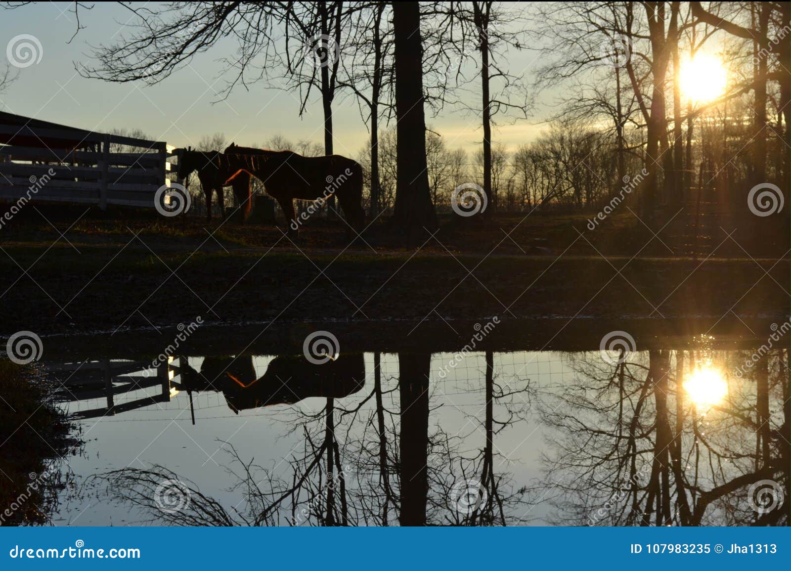 A Beautiful Morning in Our Ranch Stock Image - Image of beautiful ...