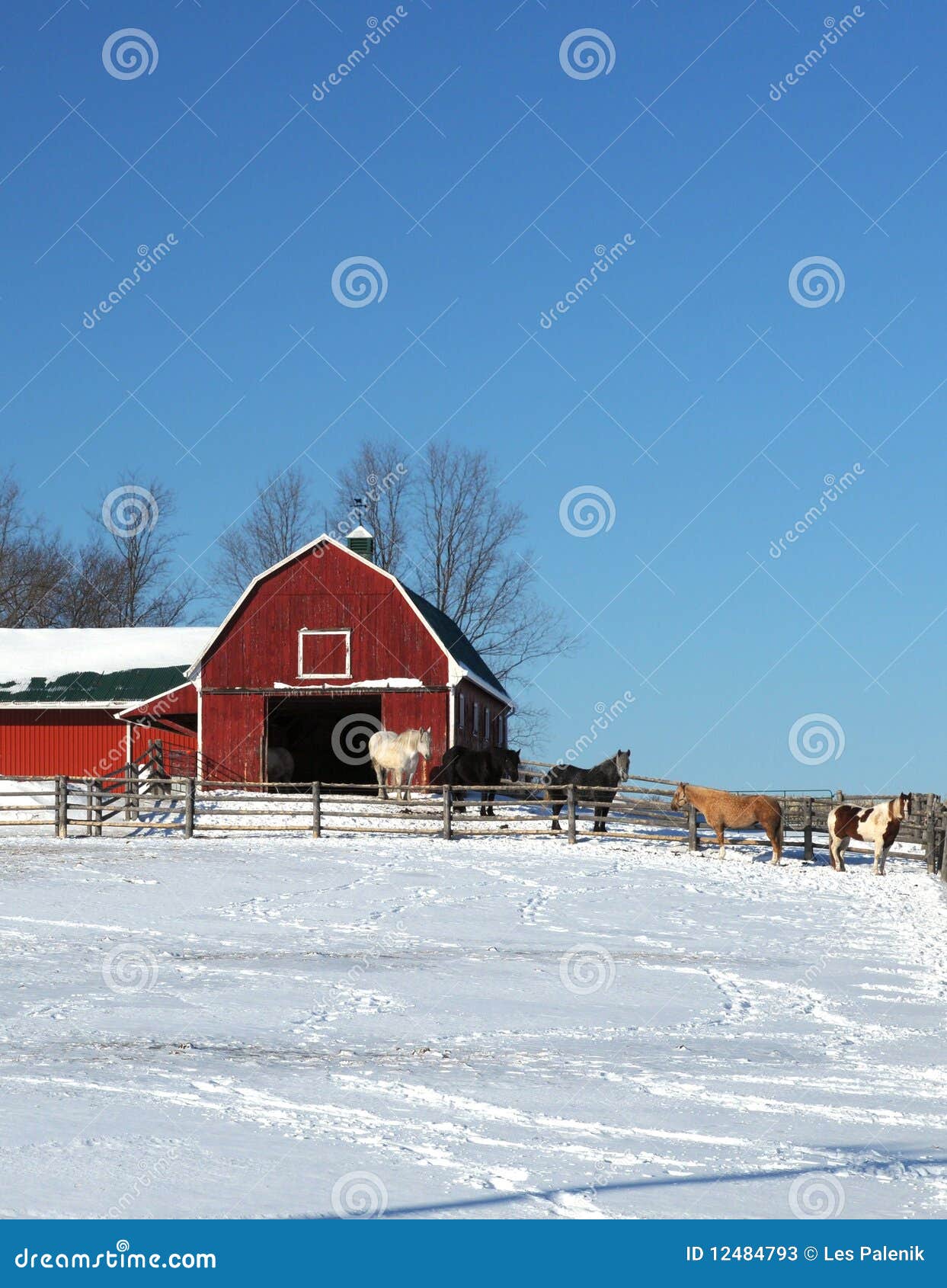 Horses at a red barn stock image. Image of barn, fence - 12484793