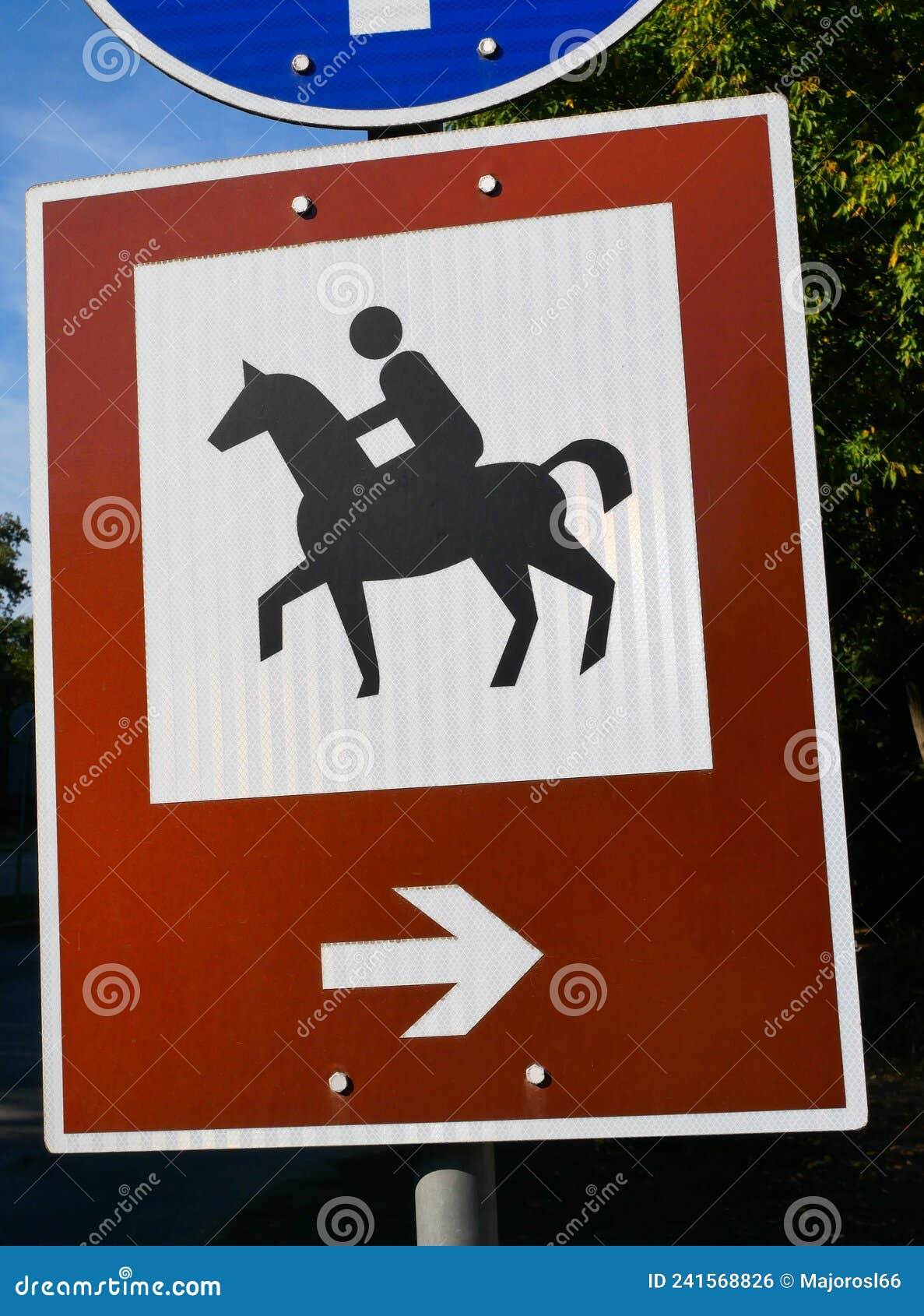 Horses on the road sign stock photo. Image of pictogram - 241568826